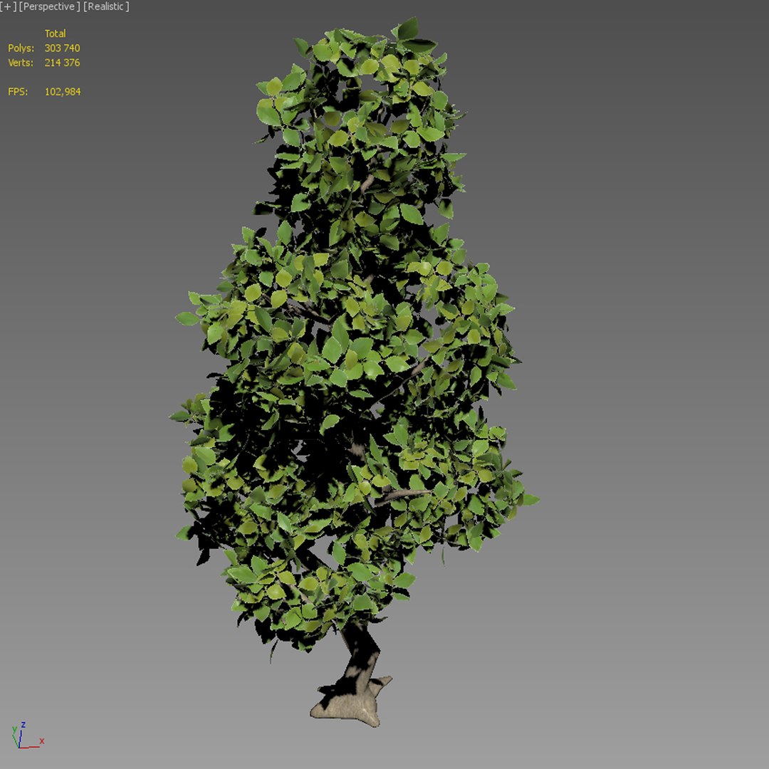 3D Cartoon Tree Model - TurboSquid 1620283