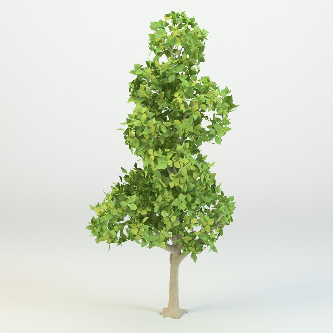 3D Cartoon Tree Model - TurboSquid 1620283