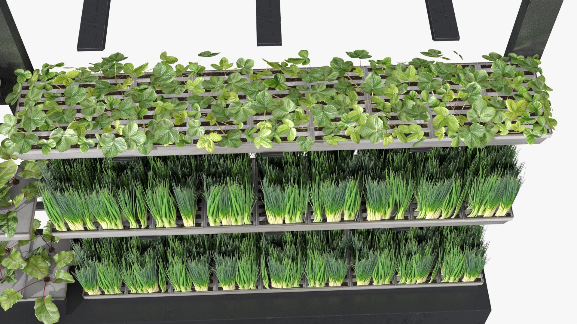 3D Hydroponics Model - TurboSquid 1937151