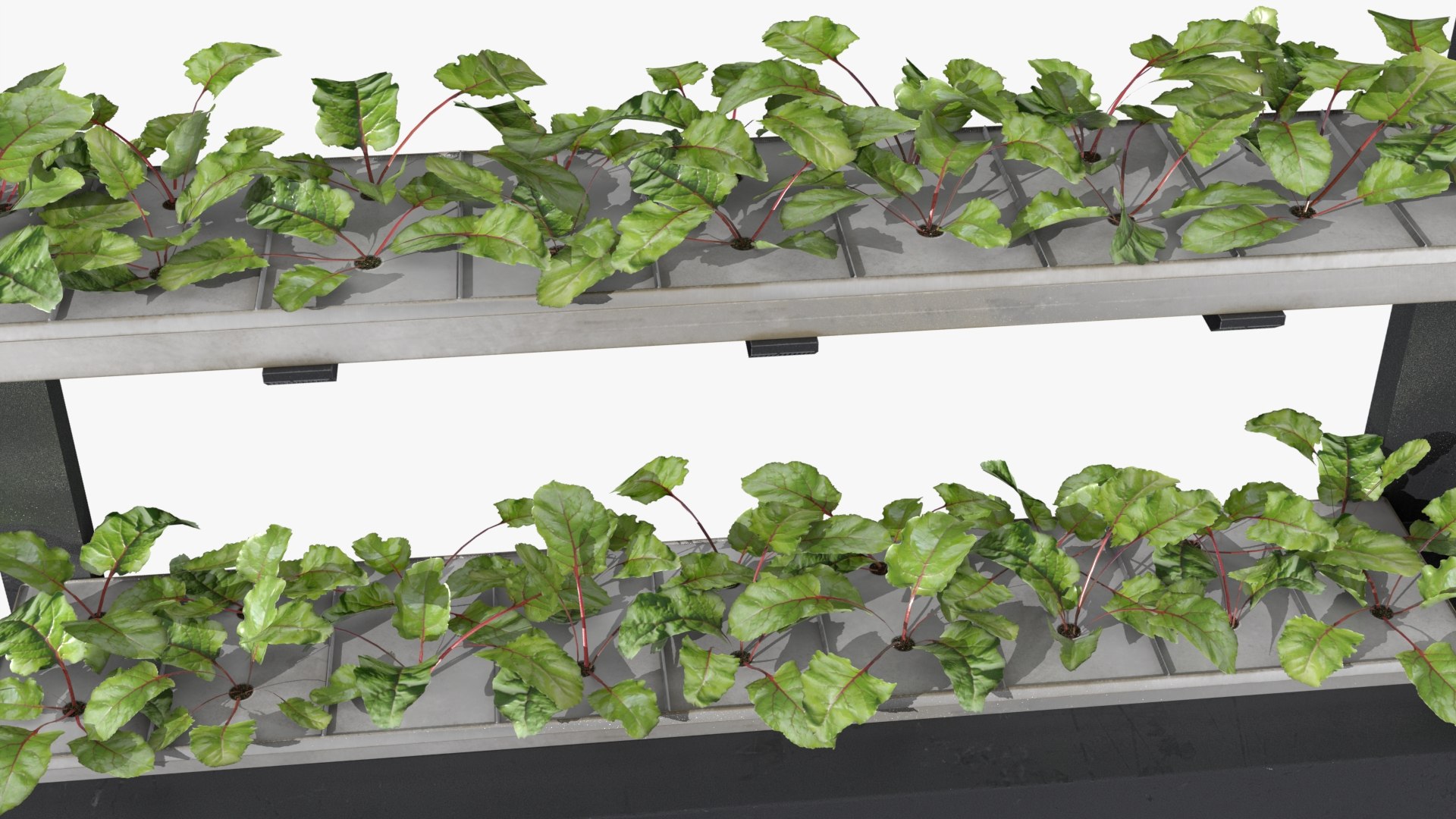 3D Hydroponics Model - TurboSquid 1937151