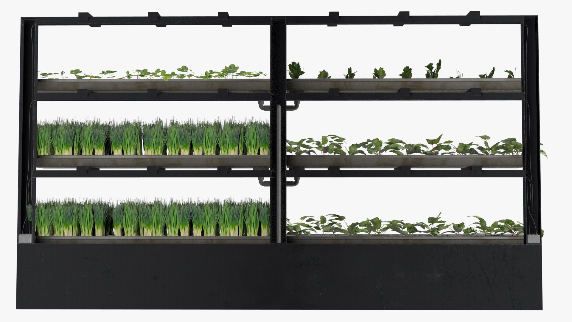 3D Hydroponics Model - TurboSquid 1937151