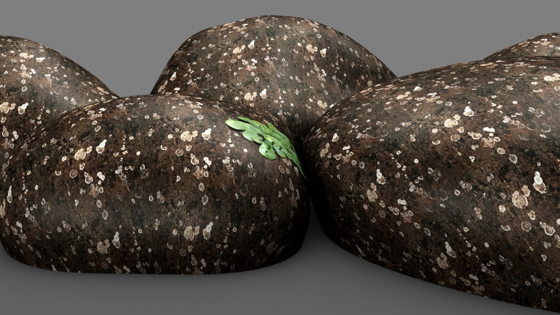 3D Gemma Cell Bud - TurboSquid 1238129