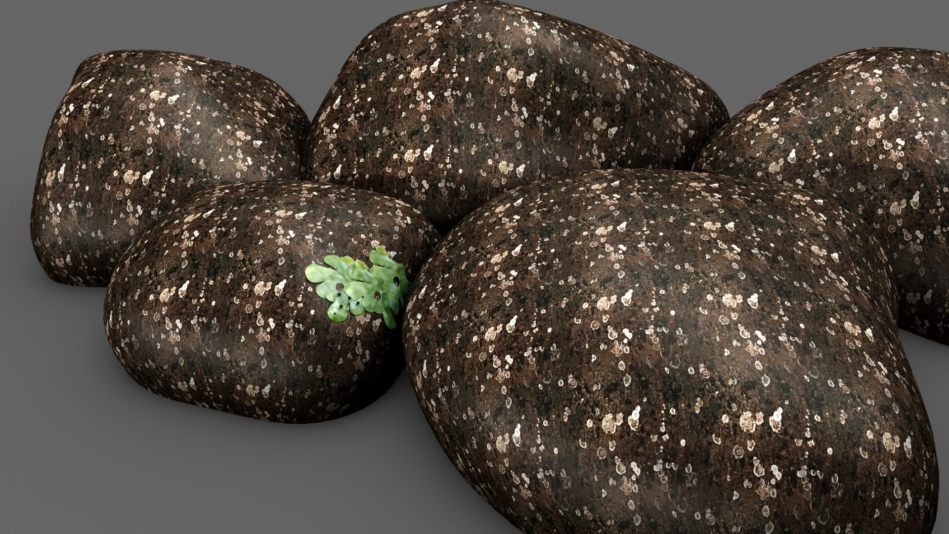 3D Gemma Cell Bud - TurboSquid 1238129
