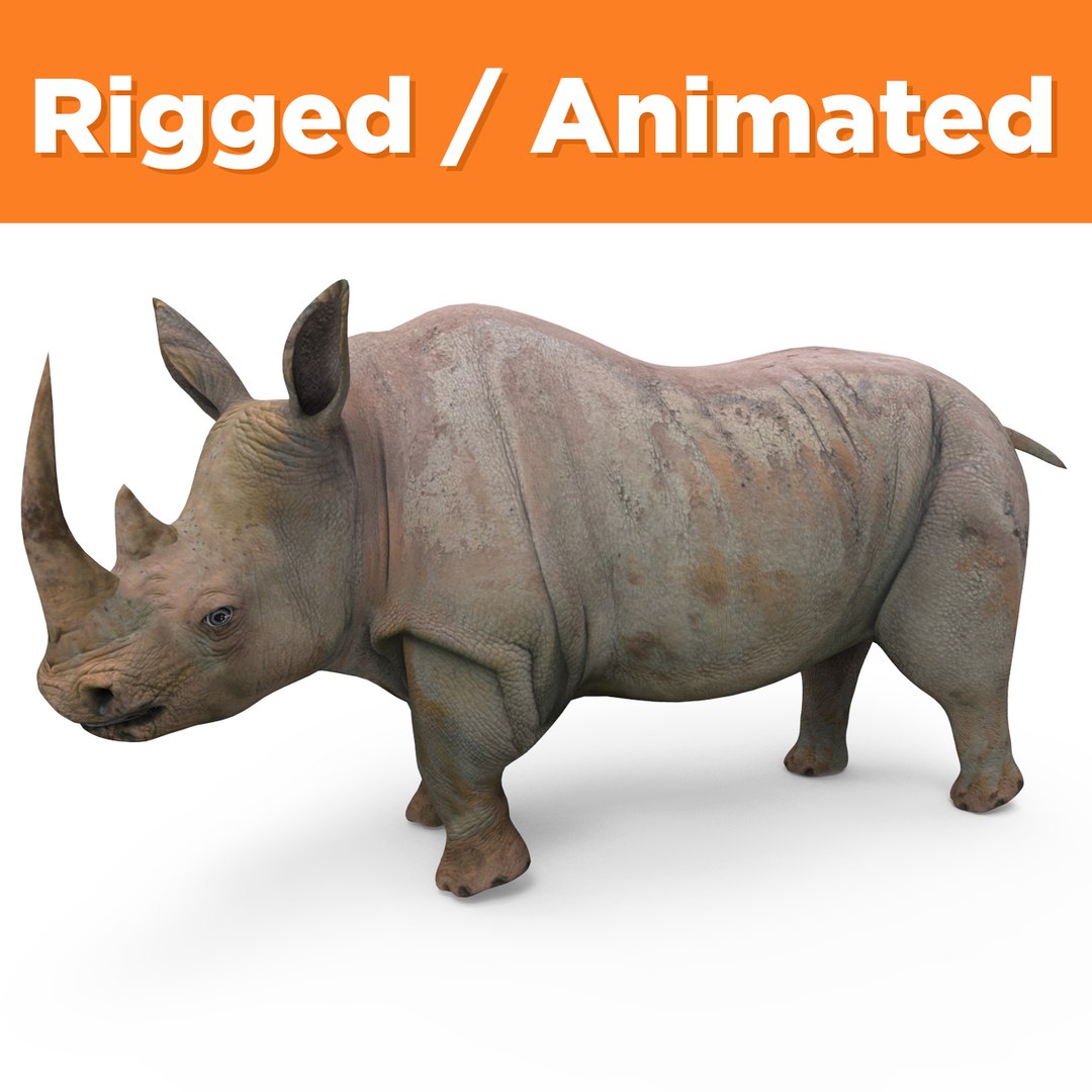 Realistic Rhino Rigged Animation 3D Model - TurboSquid 1270916