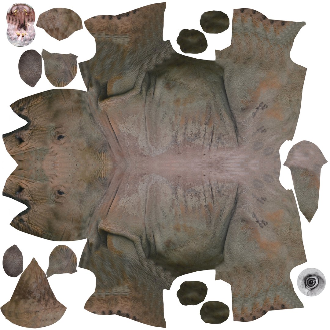 Realistic Rhino Rigged Animation 3D Model - TurboSquid 1270916