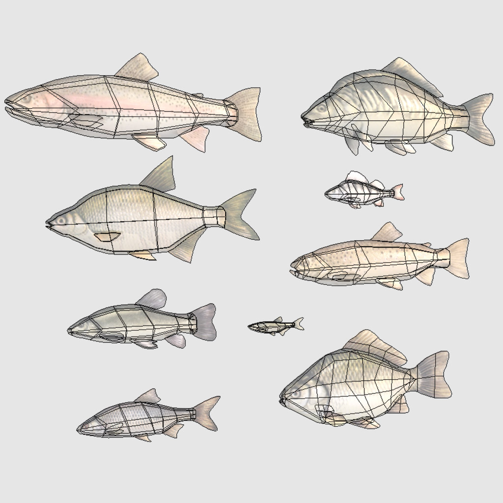 river sea fish 3d model