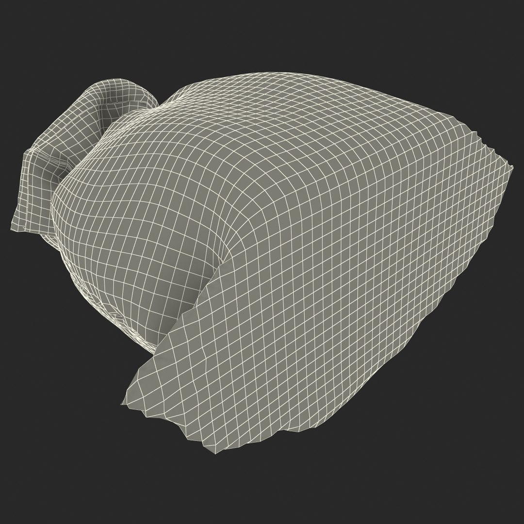 3d Money Bag 2 Dollar Model