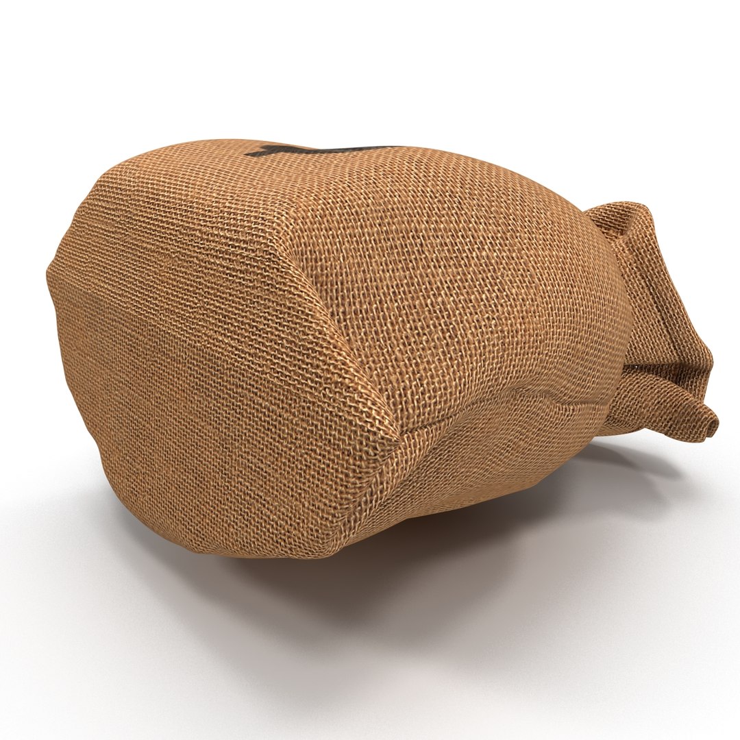 3d Money Bag 2 Dollar Model