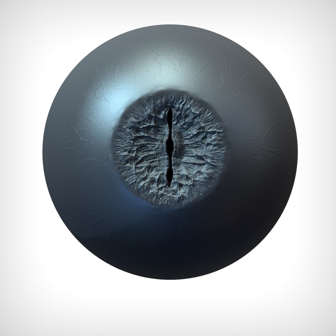 Animal Monster Eye 3 Model - TurboSquid 1175428