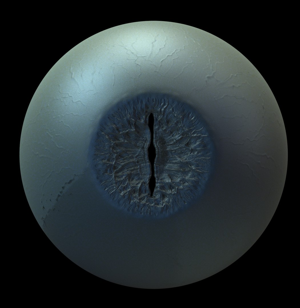 Animal Monster Eye 3 Model - TurboSquid 1175428