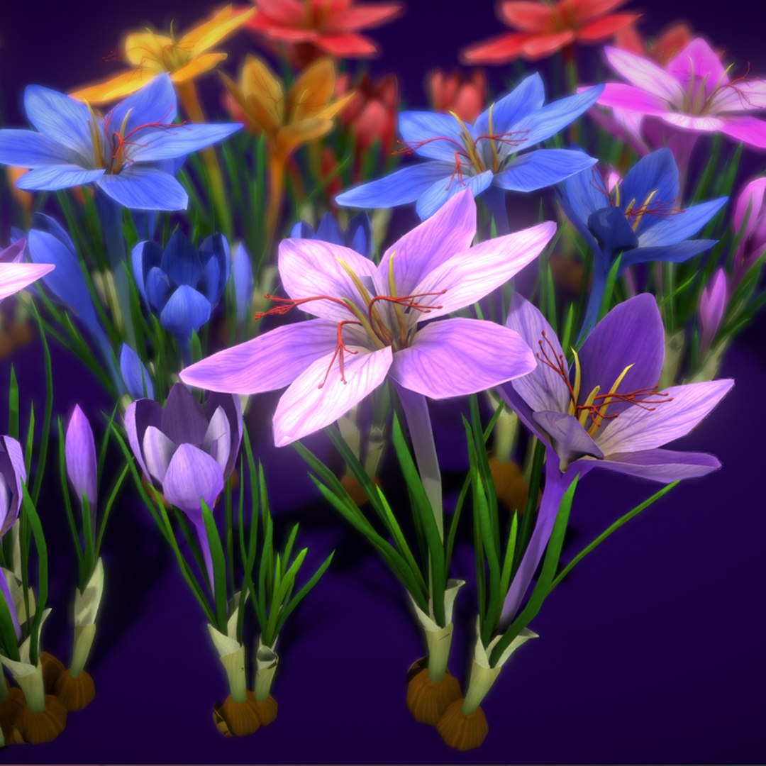 Flower Showy Autumn Crocus 3D Model - TurboSquid 2133157