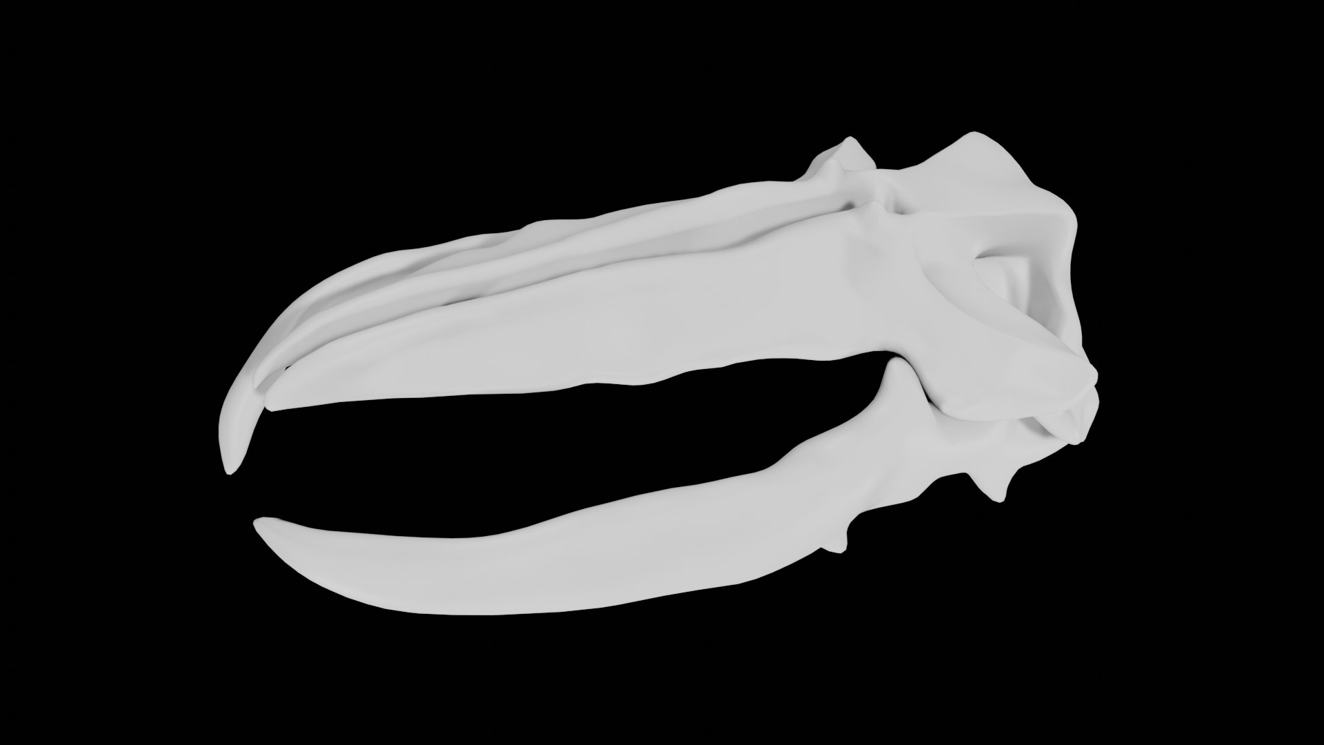 Whale Skull 3D Model - TurboSquid 1842027