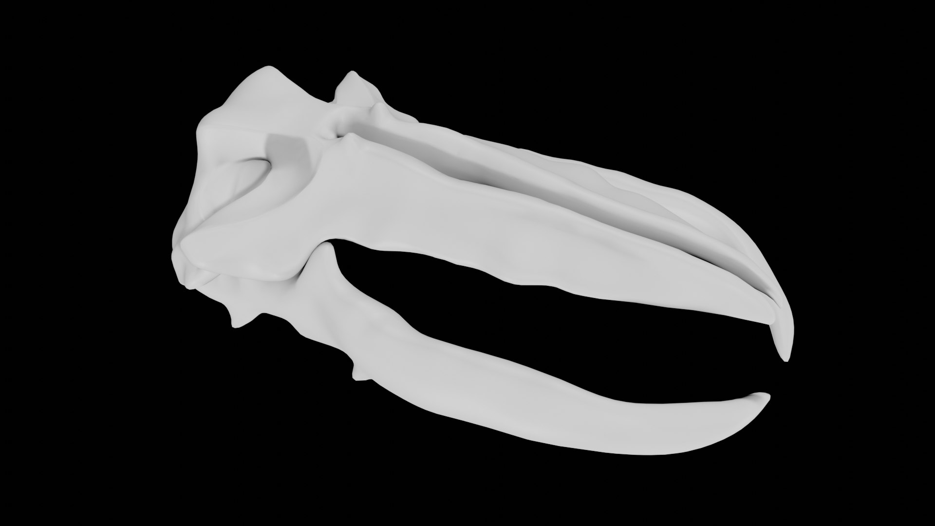 Whale Skull 3D Model - TurboSquid 1842027