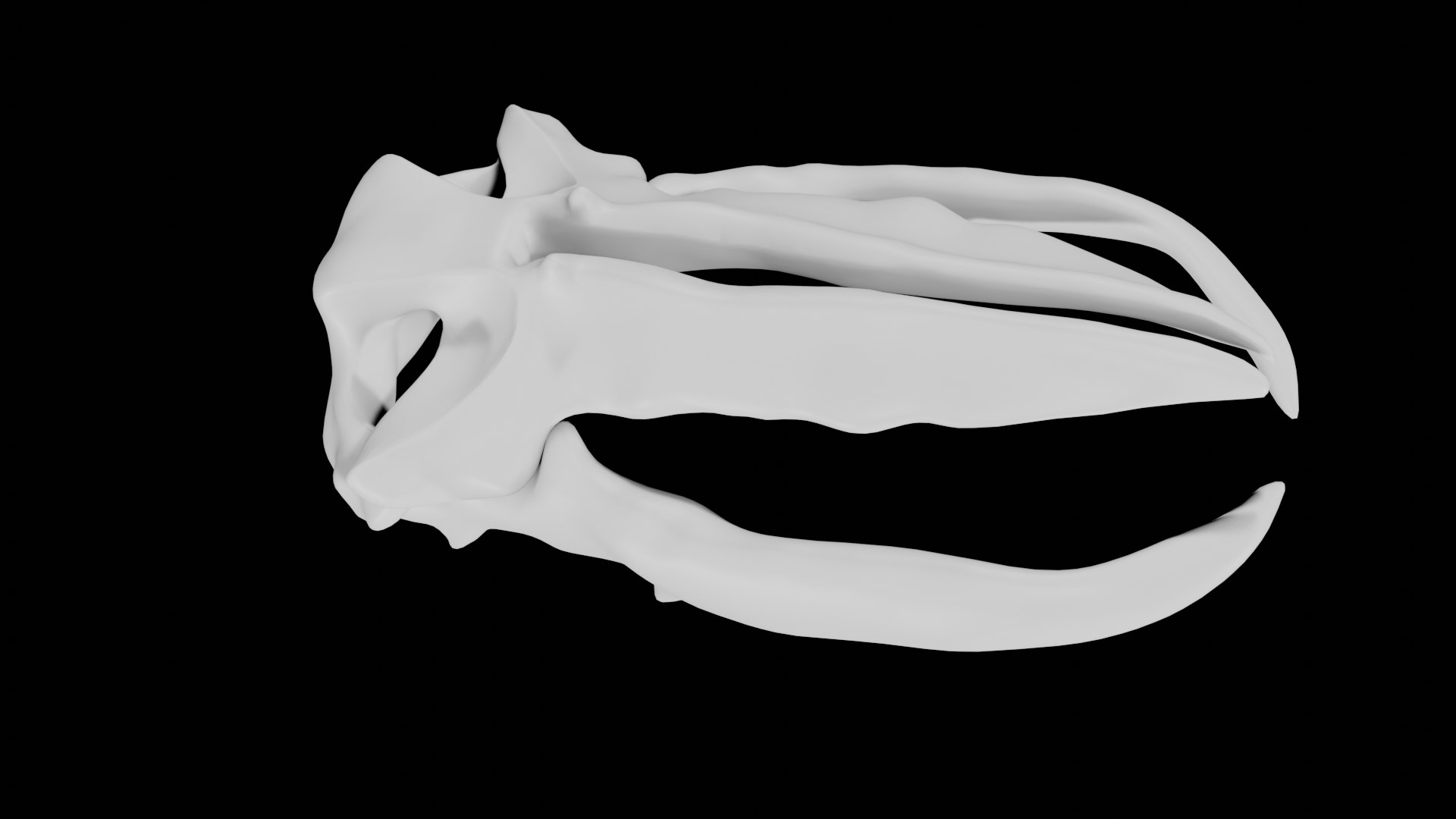 Whale Skull 3D Model - TurboSquid 1842027