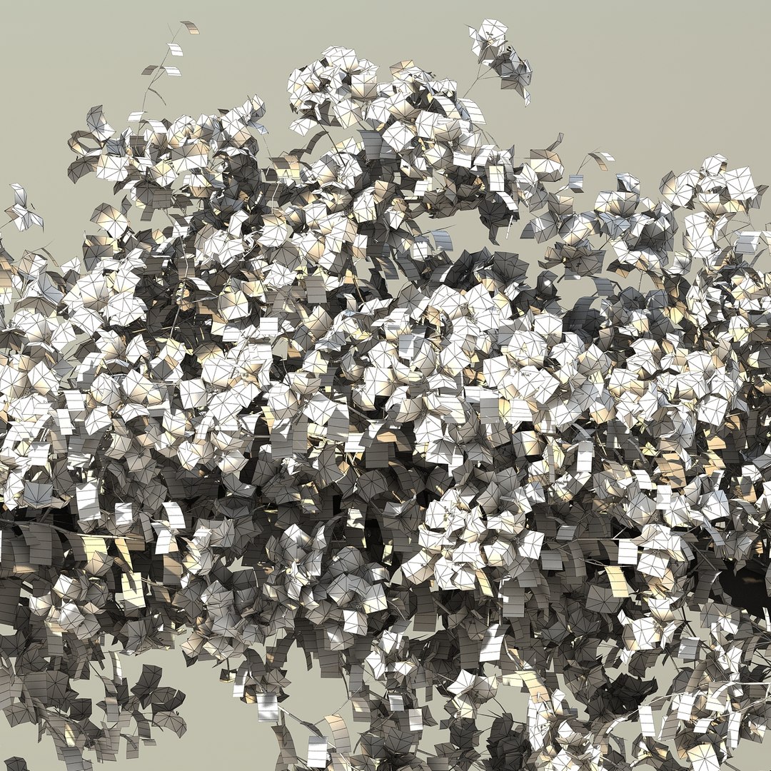 Max Plant Flower