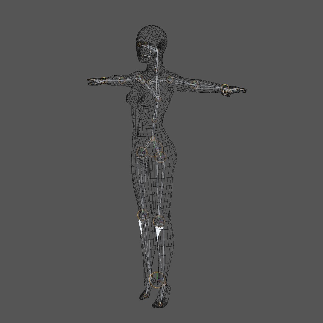 Female Character 3d Model