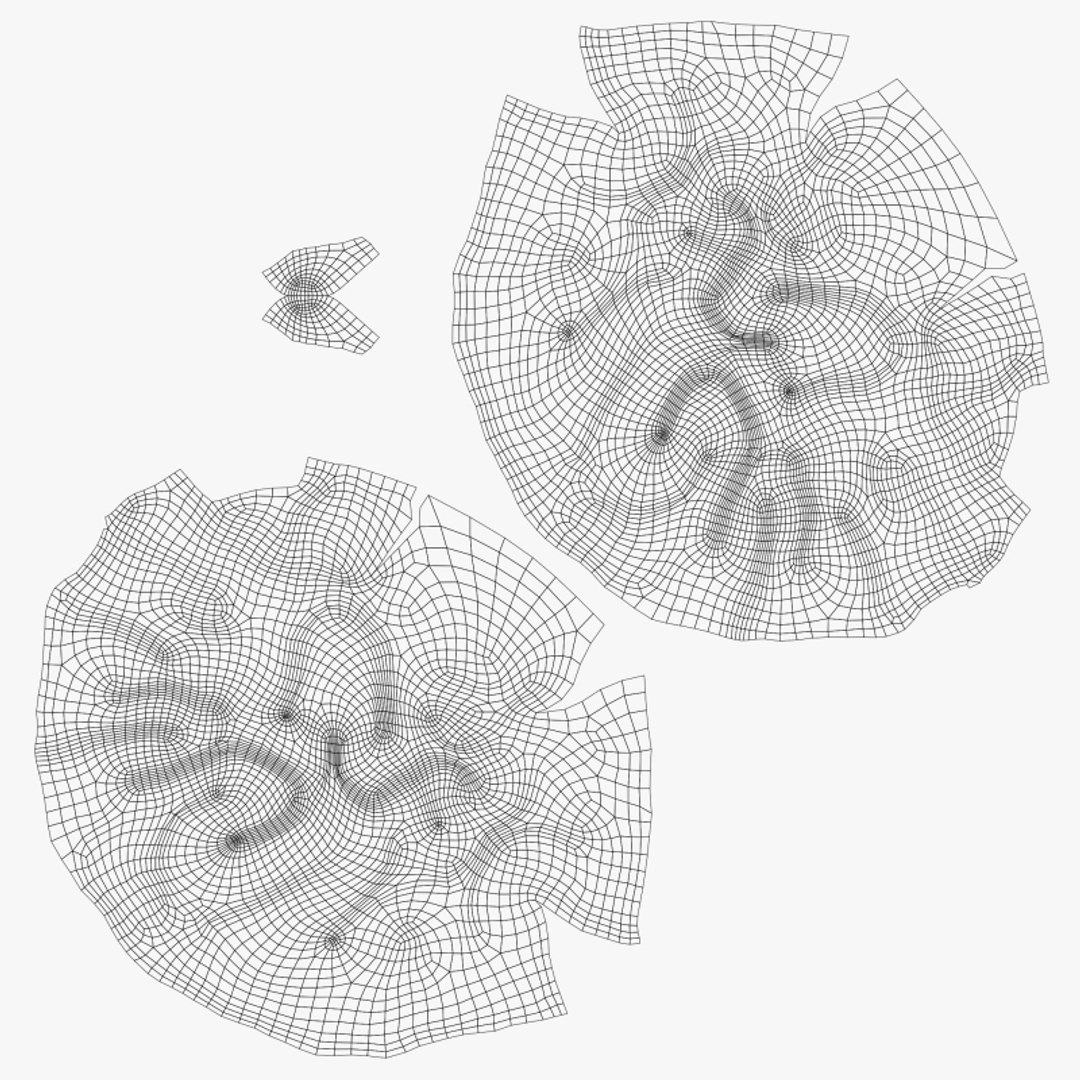 Cartoon Brain 3D Model - TurboSquid 1689664