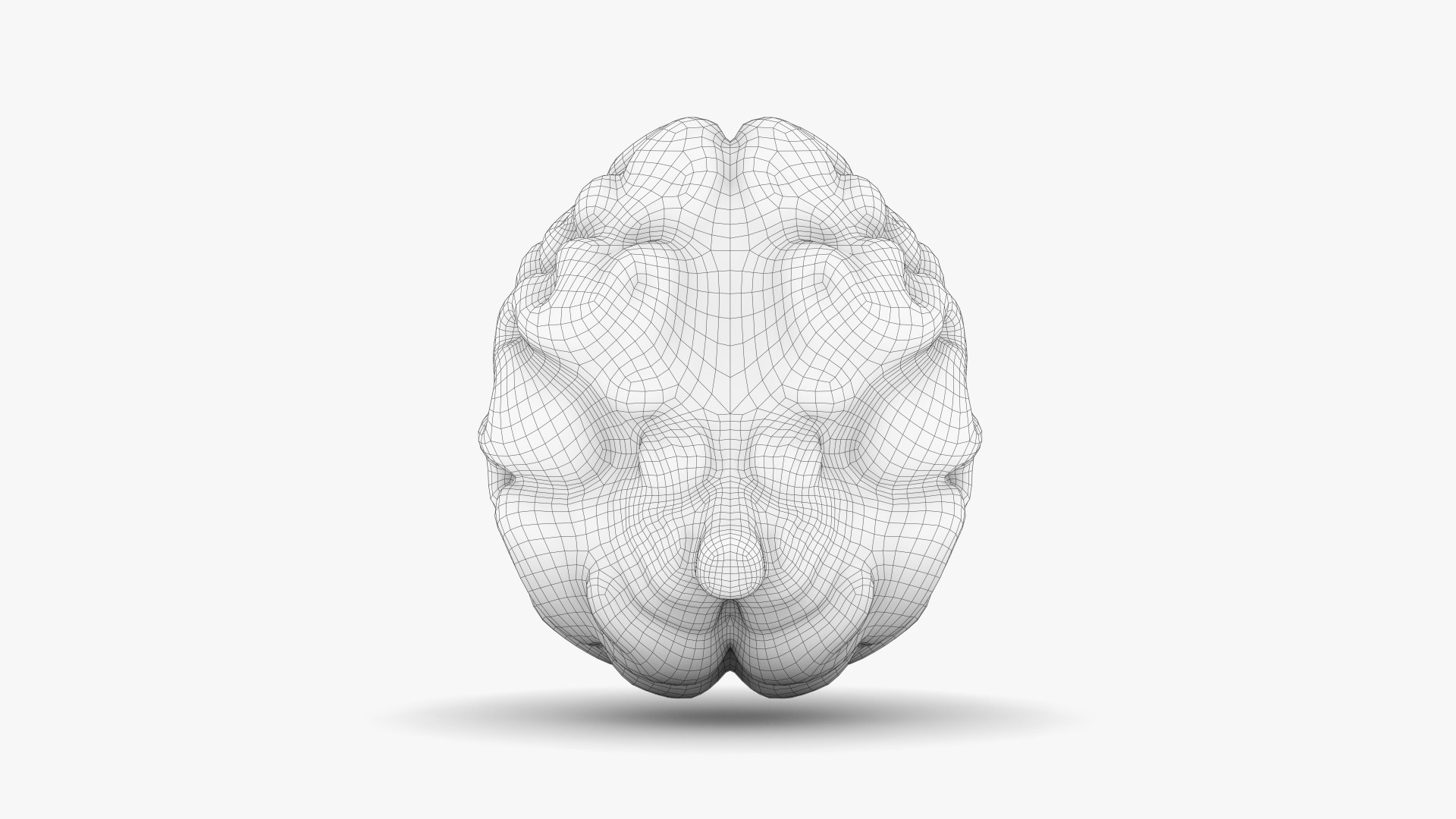 Cartoon Brain 3D Model - TurboSquid 1689664