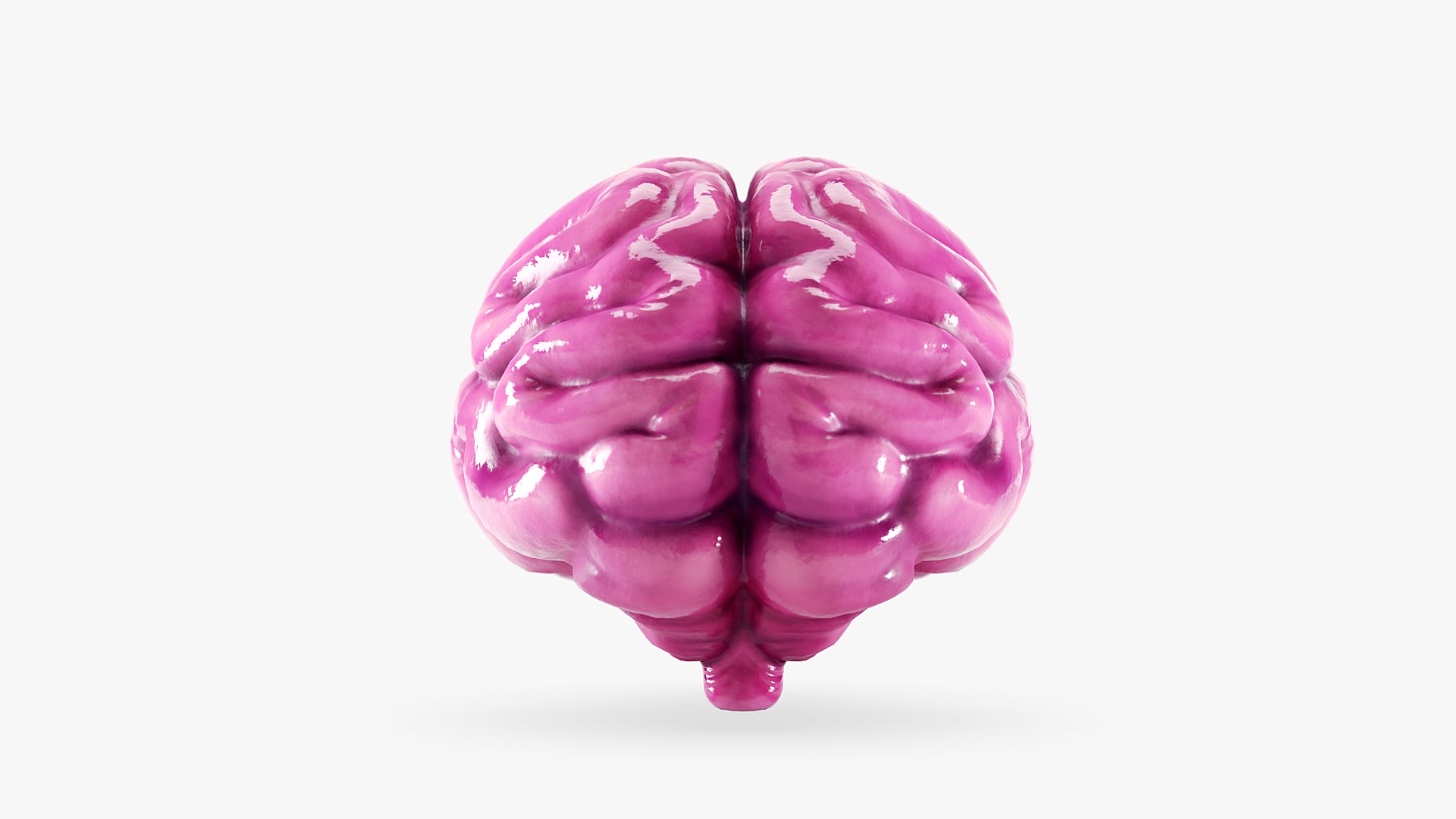 Cartoon Brain 3D Model - TurboSquid 1689664