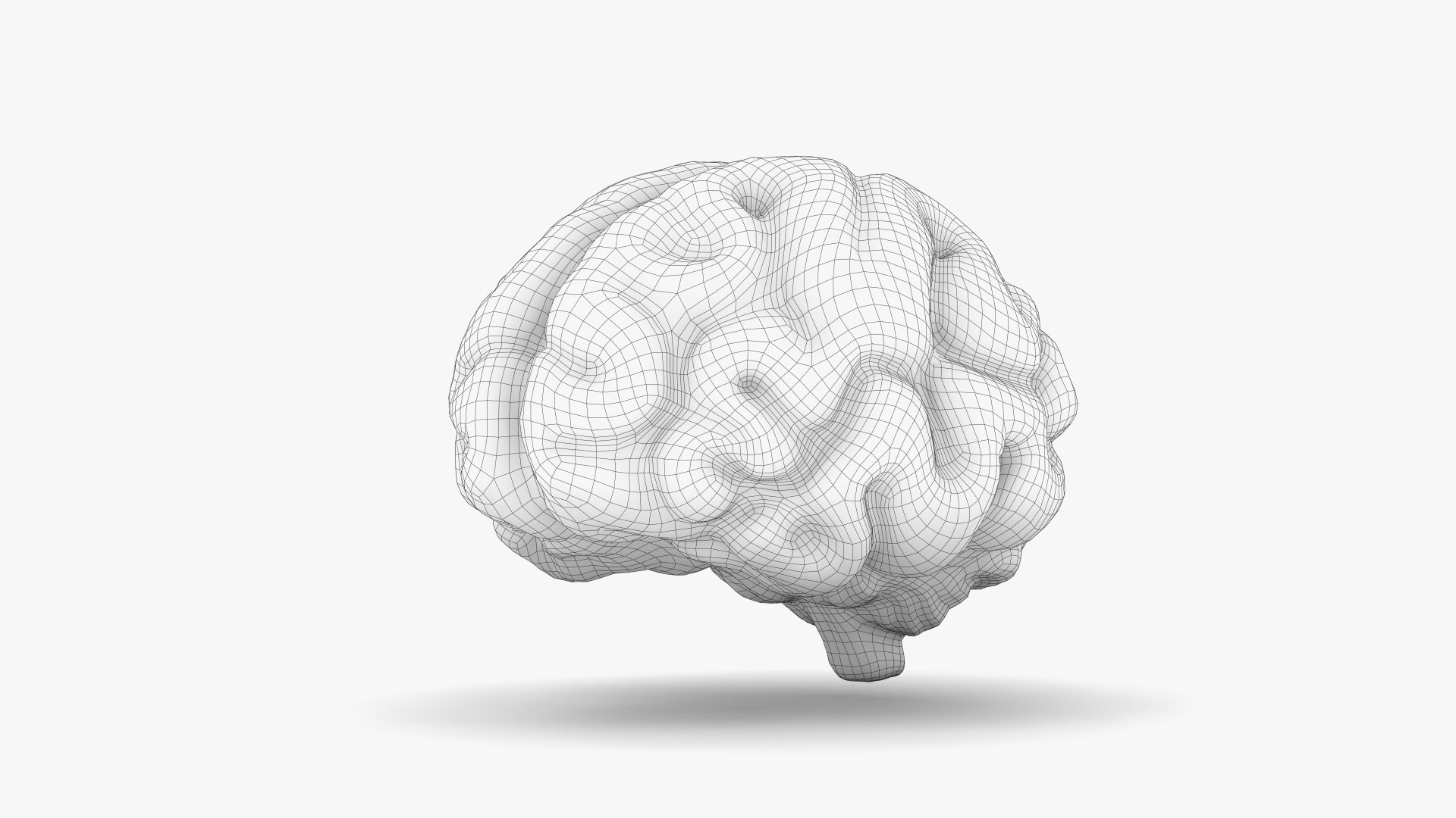 Cartoon Brain 3D Model - TurboSquid 1689664