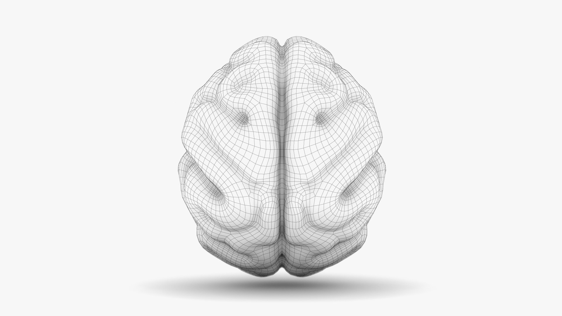 Cartoon Brain 3D Model - TurboSquid 1689664