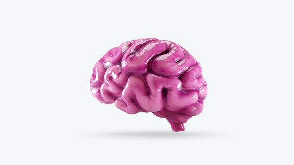 Cartoon brain 3D model - TurboSquid 1689664