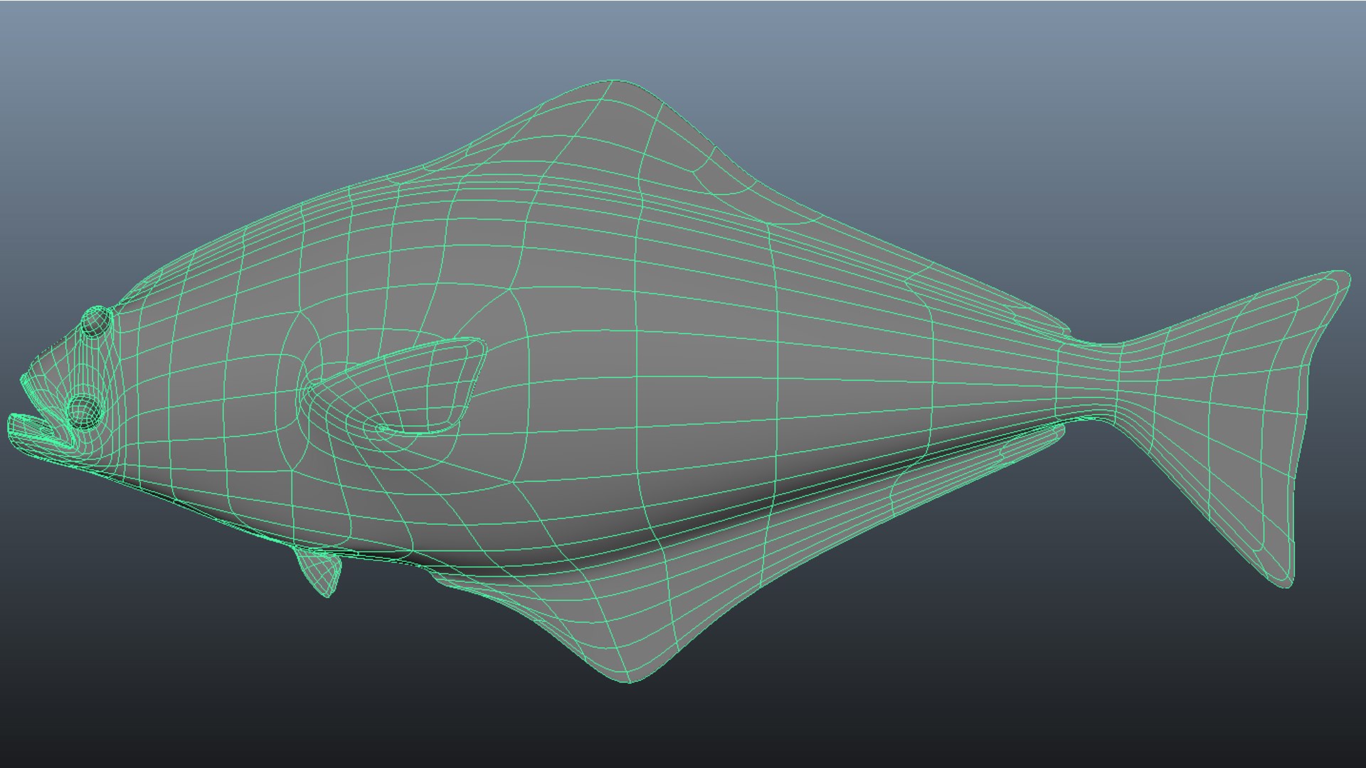 Flat Fish Collection Model - TurboSquid 1813099