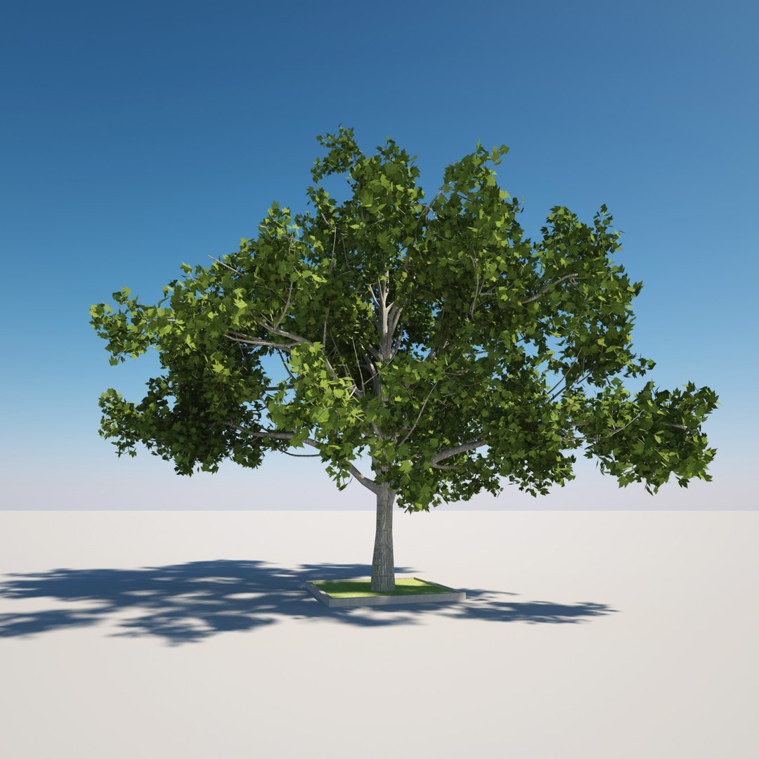 3d wood tree model