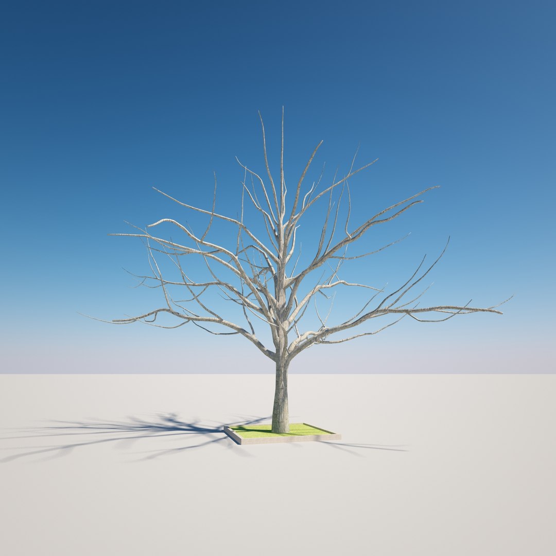 3d wood tree model