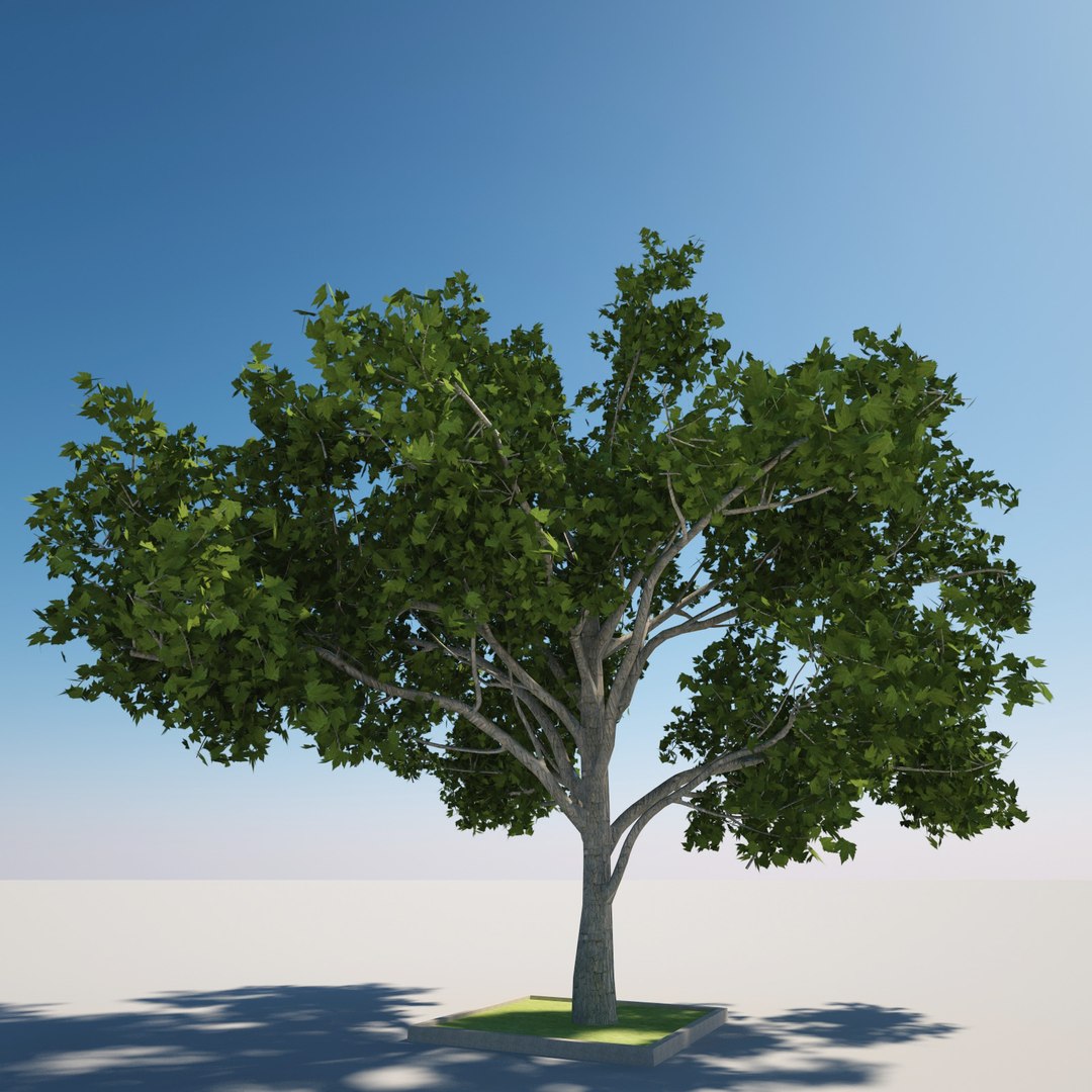 3d wood tree model