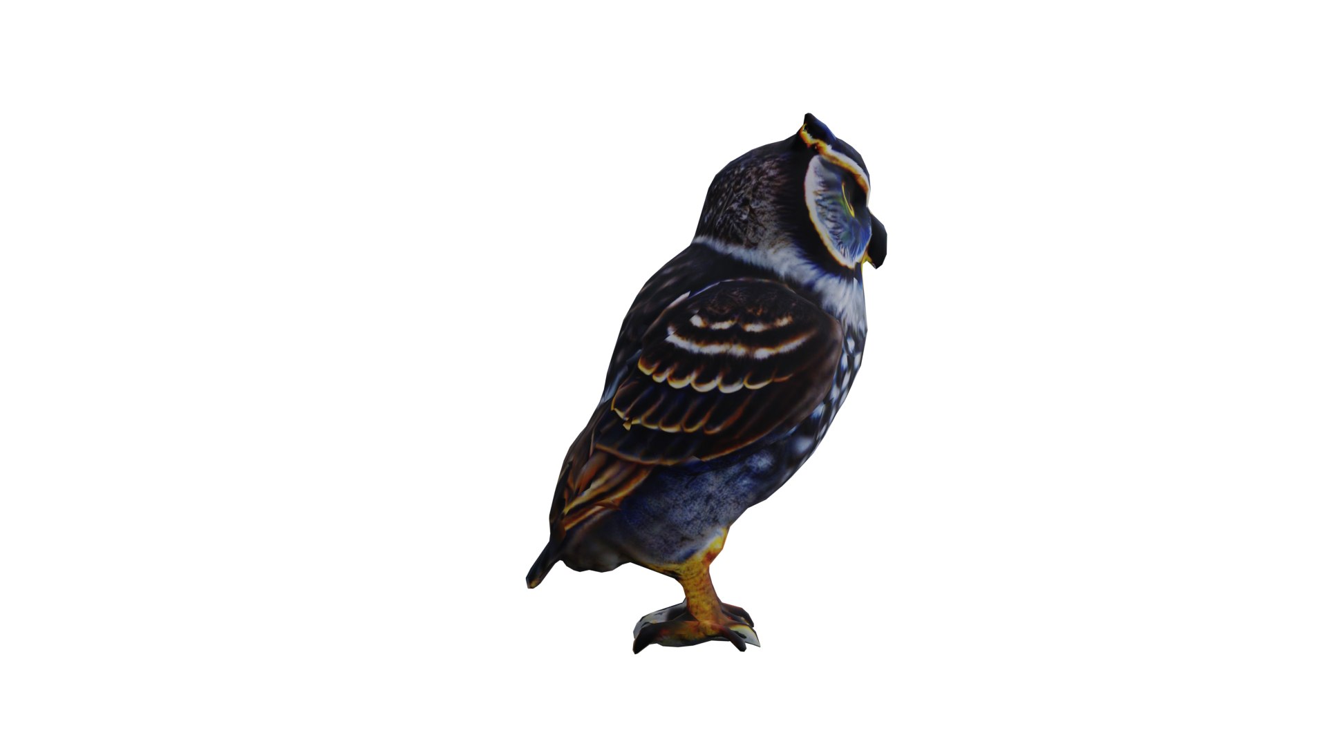 Owl Low Poly 3D Model - TurboSquid 2205210