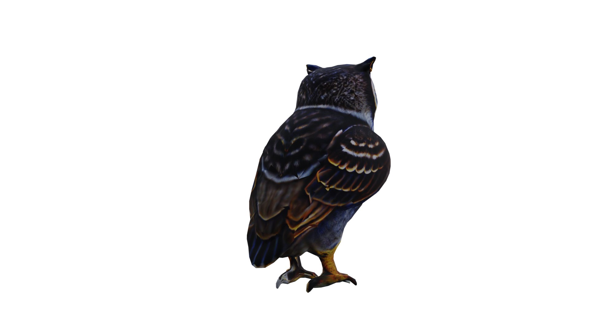 Owl Low Poly 3D Model - TurboSquid 2205210