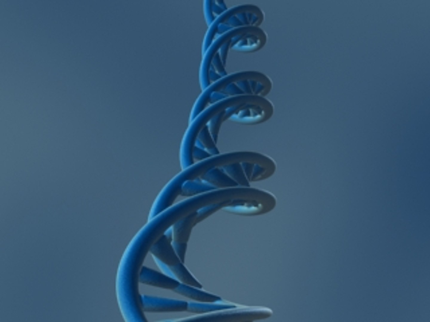 Dna 3d Model