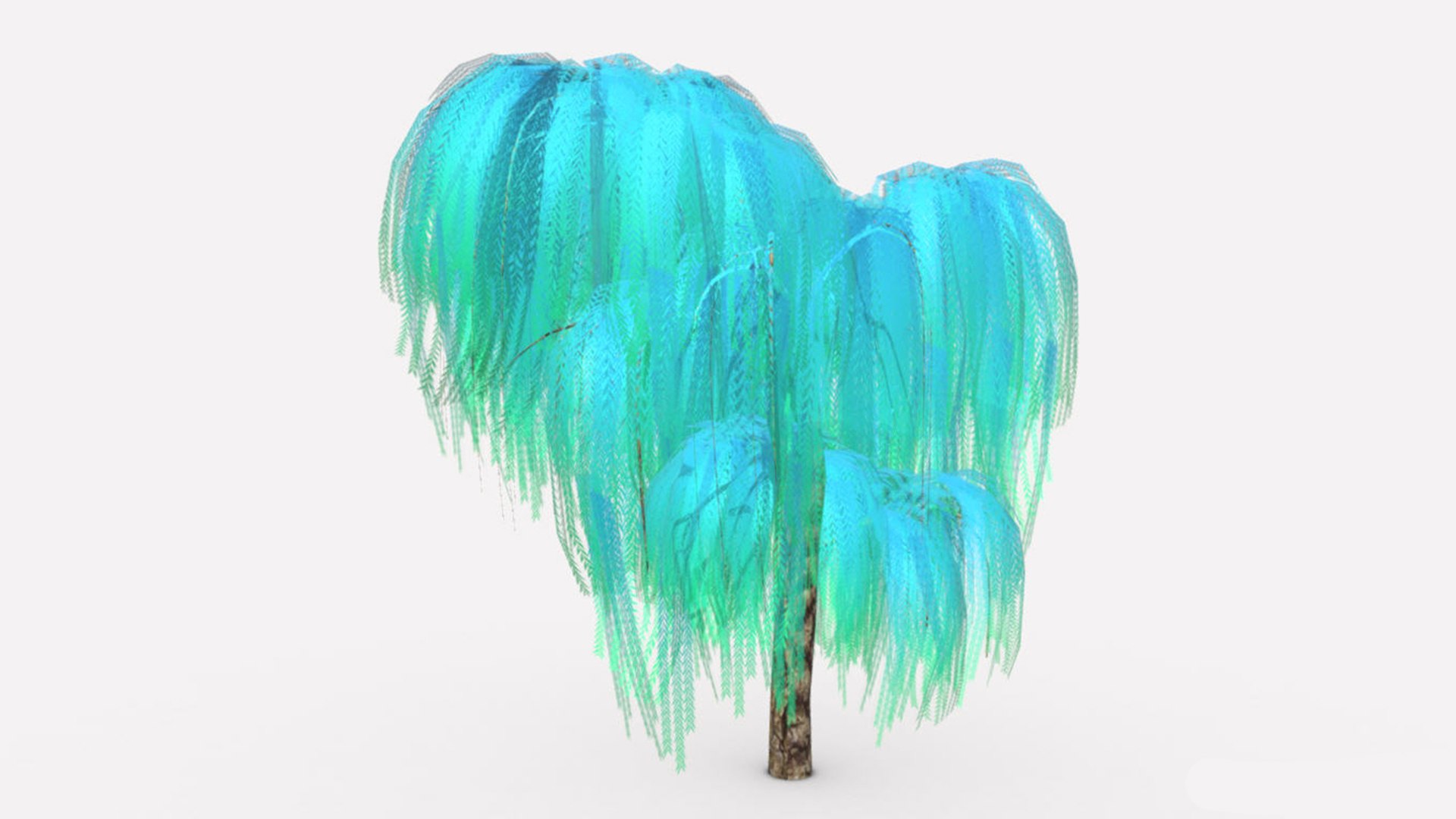 3D Model Weeping Tree Coloe Sky - TurboSquid 2244608