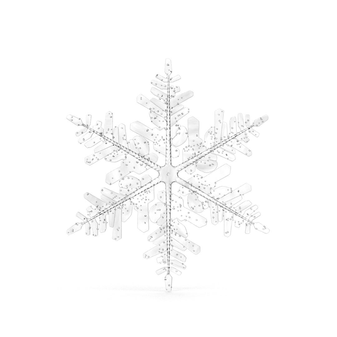 3d Model Snowflake 3