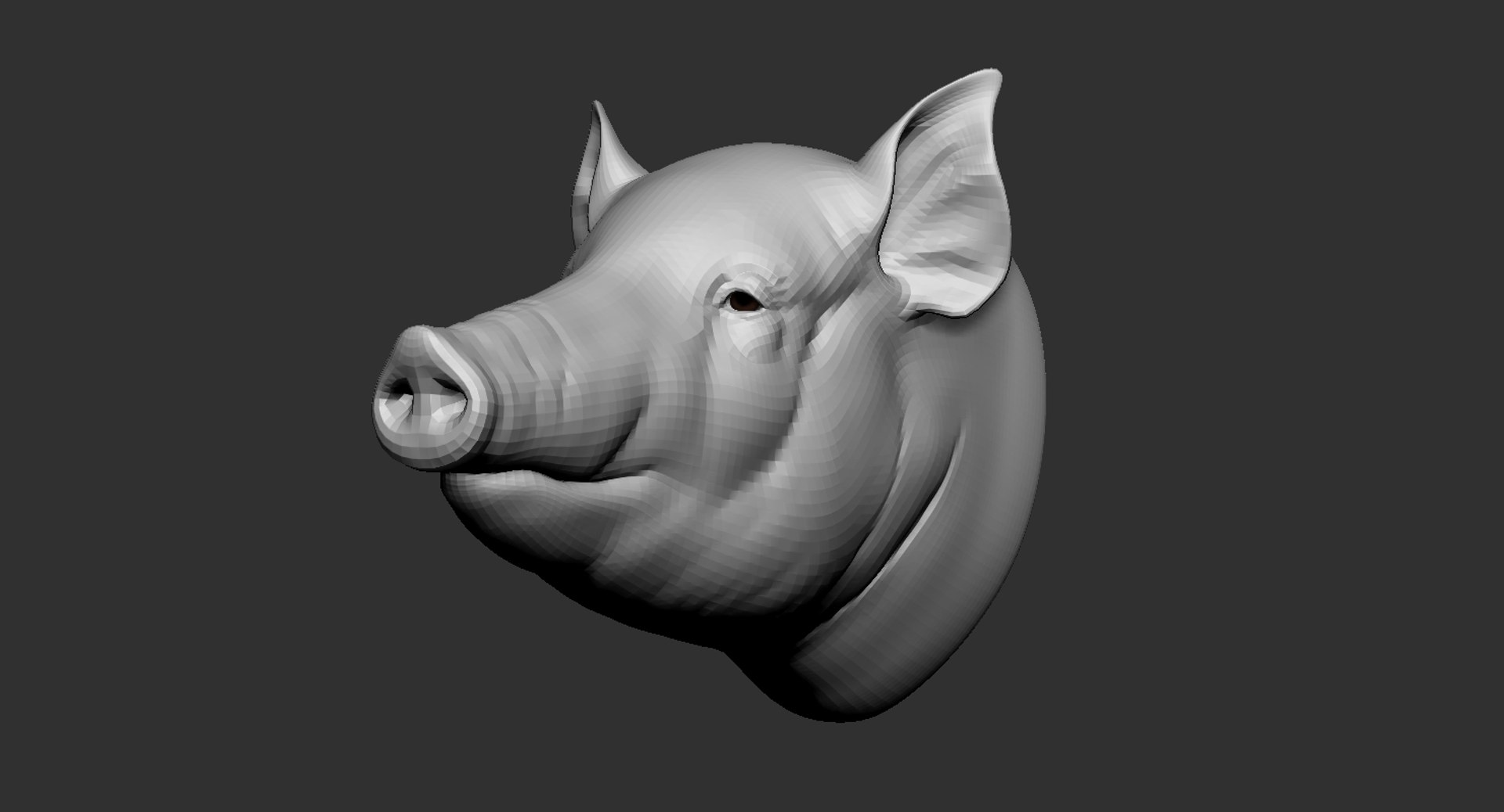 3D Pig Head Base Mesh - TurboSquid 1534511