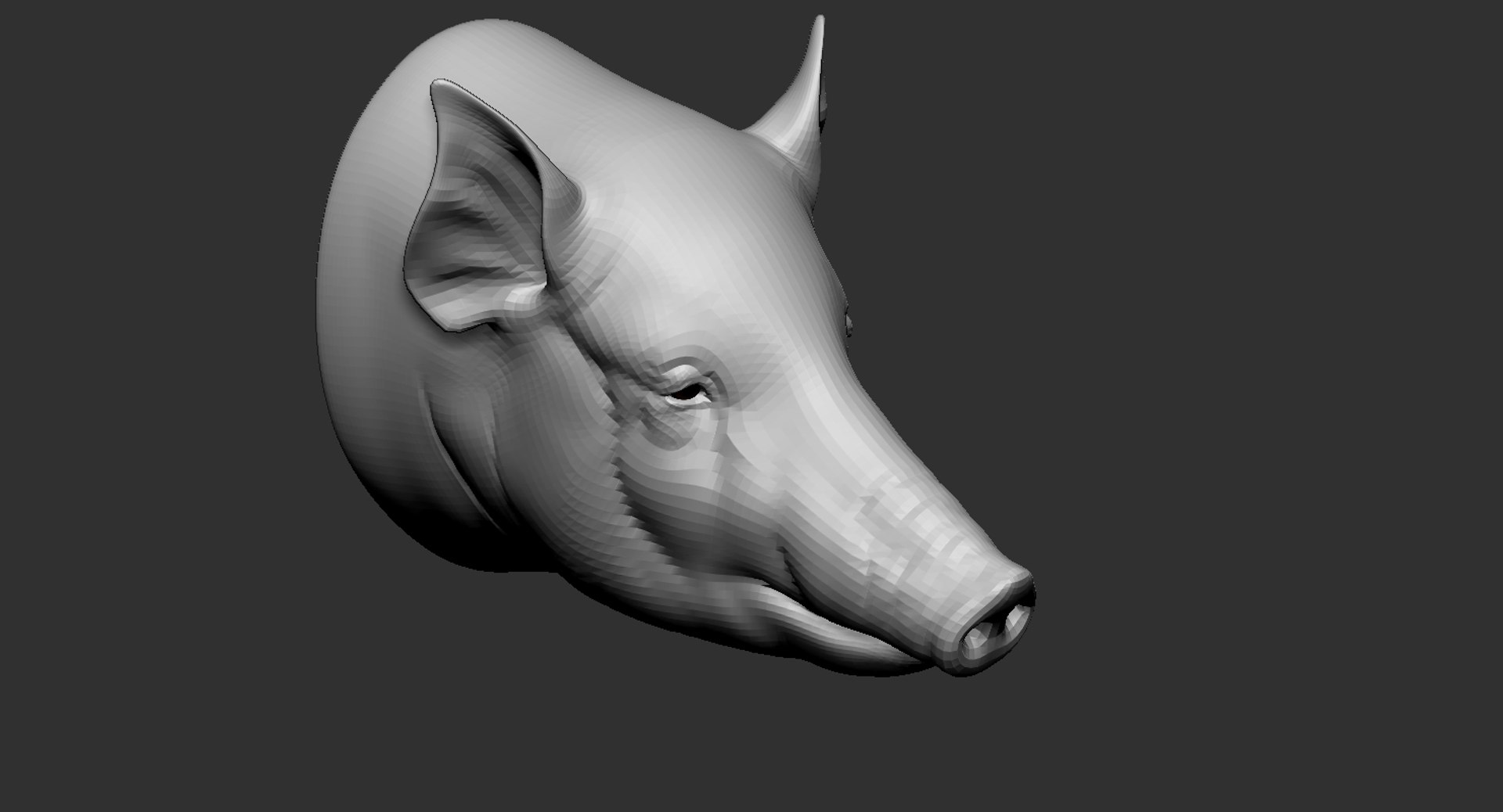 3D Pig Head Base Mesh - TurboSquid 1534511