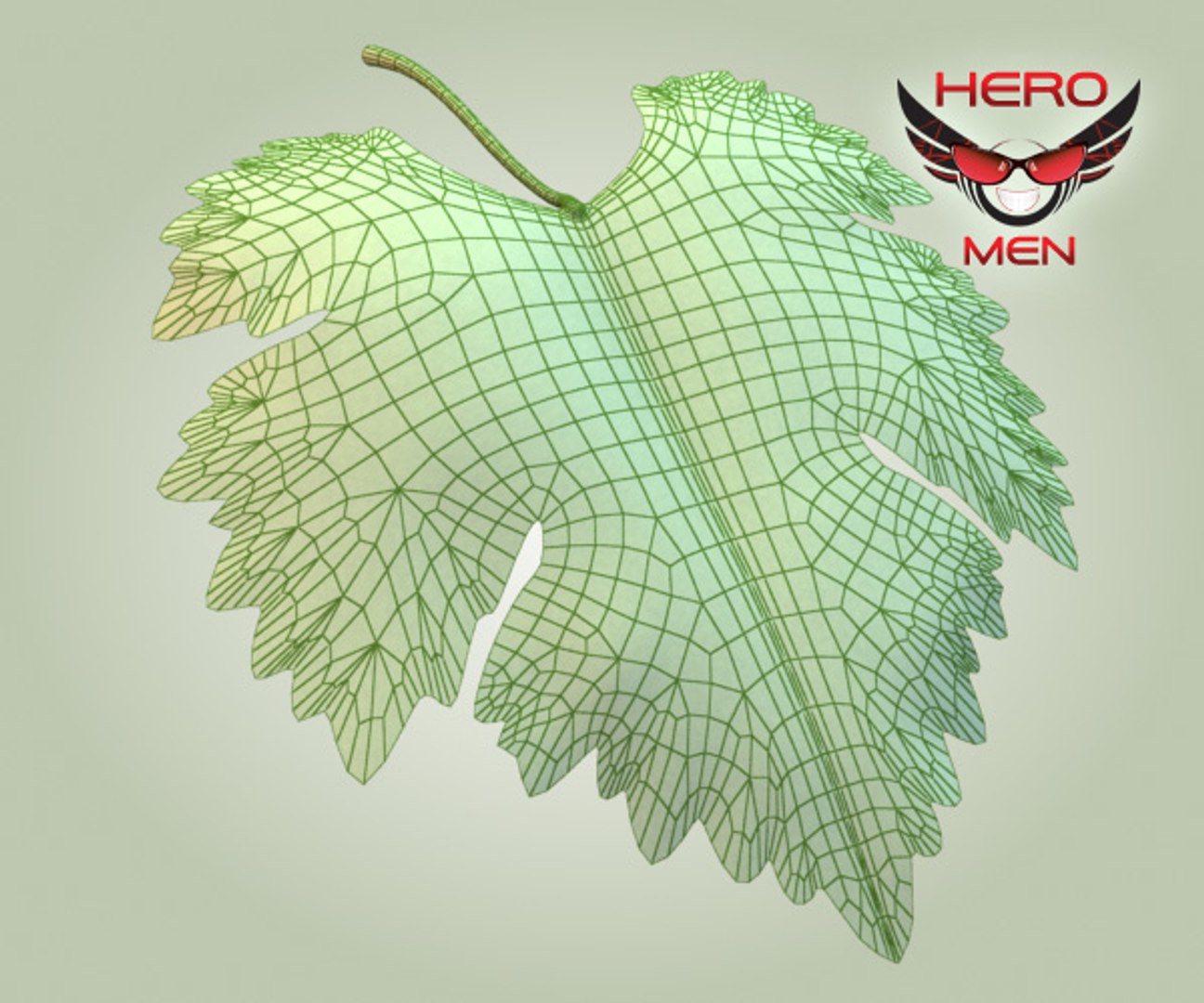 3d Model Of Grape Leaf