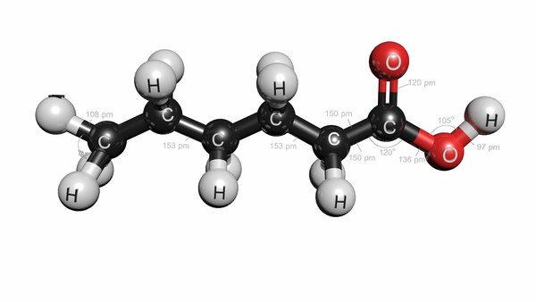 modelo 3d Modelo 3D de ácido caproico Modelo 3D de ácido hexanoico ...