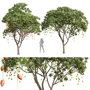 Free 3D Mango-Tree Models | TurboSquid