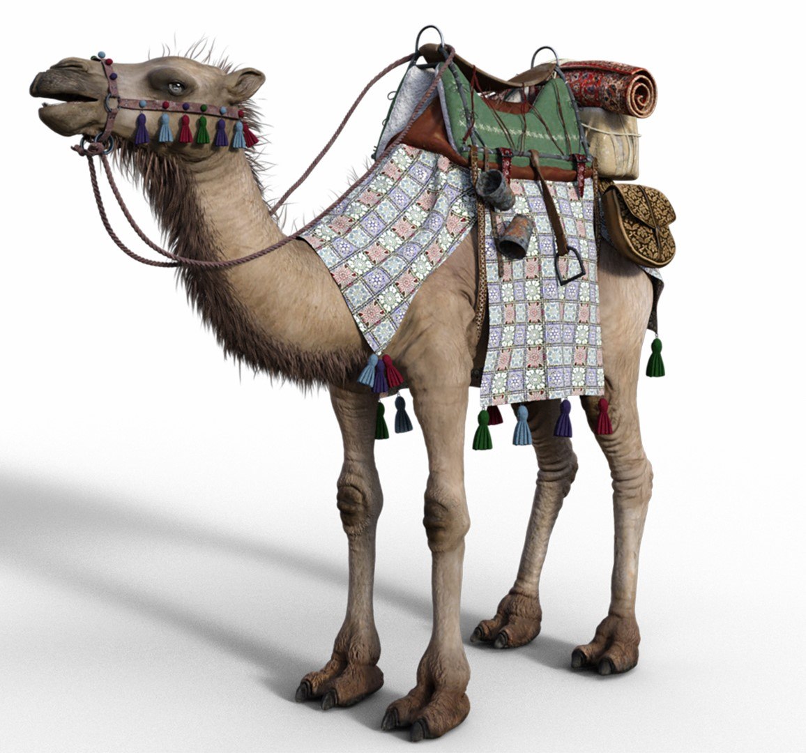 3D Camel With Package - Rigged - TurboSquid 2194534