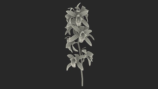 modelo 3d Colección de plantas con flores 7 - TurboSquid 1909142