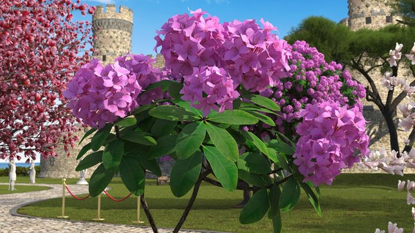 modelo 3d Colección de plantas con flores 7 - TurboSquid 1909142