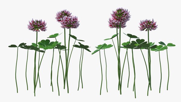modelo 3d Colección de plantas con flores 7 - TurboSquid 1909142
