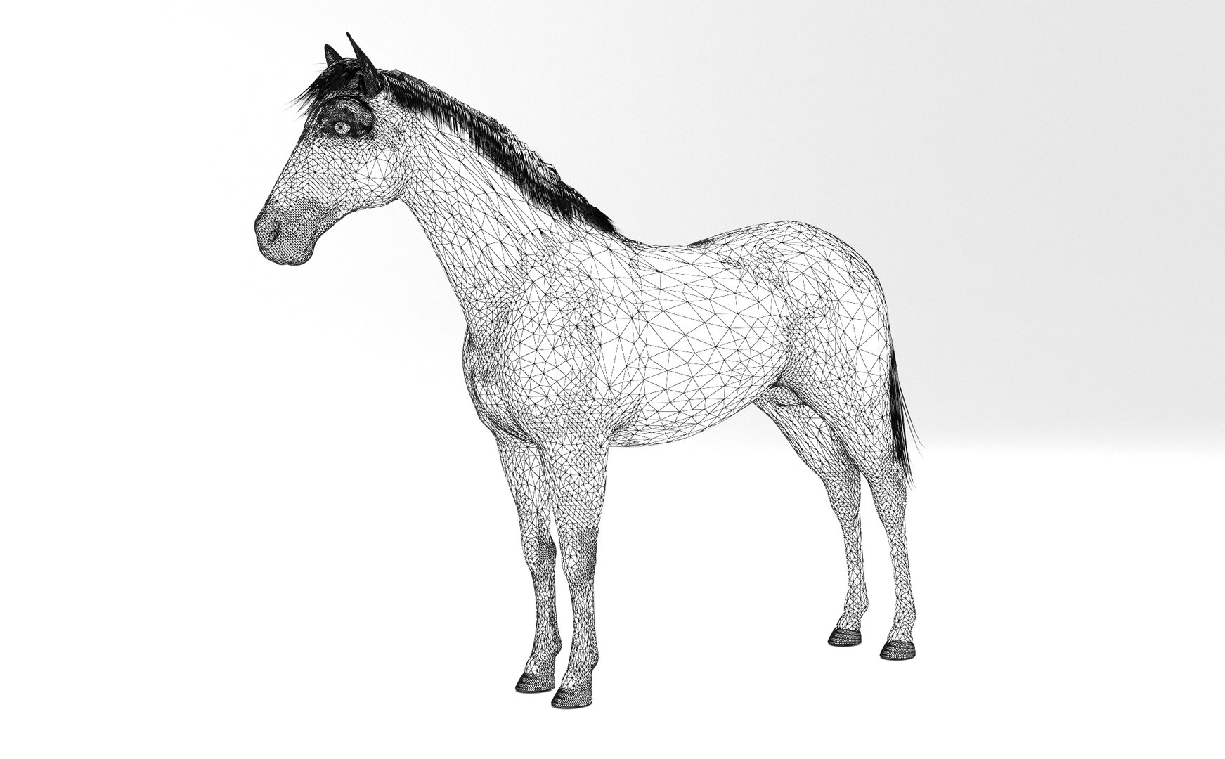 White Horse Model - TurboSquid 1790003