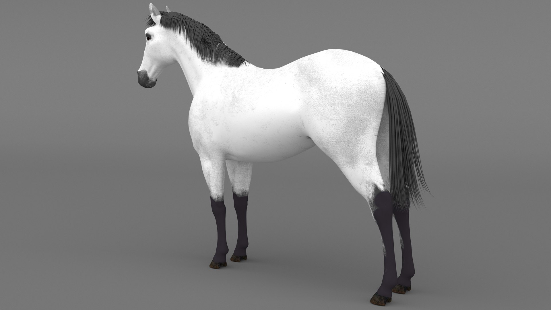 White Horse Model - TurboSquid 1790003