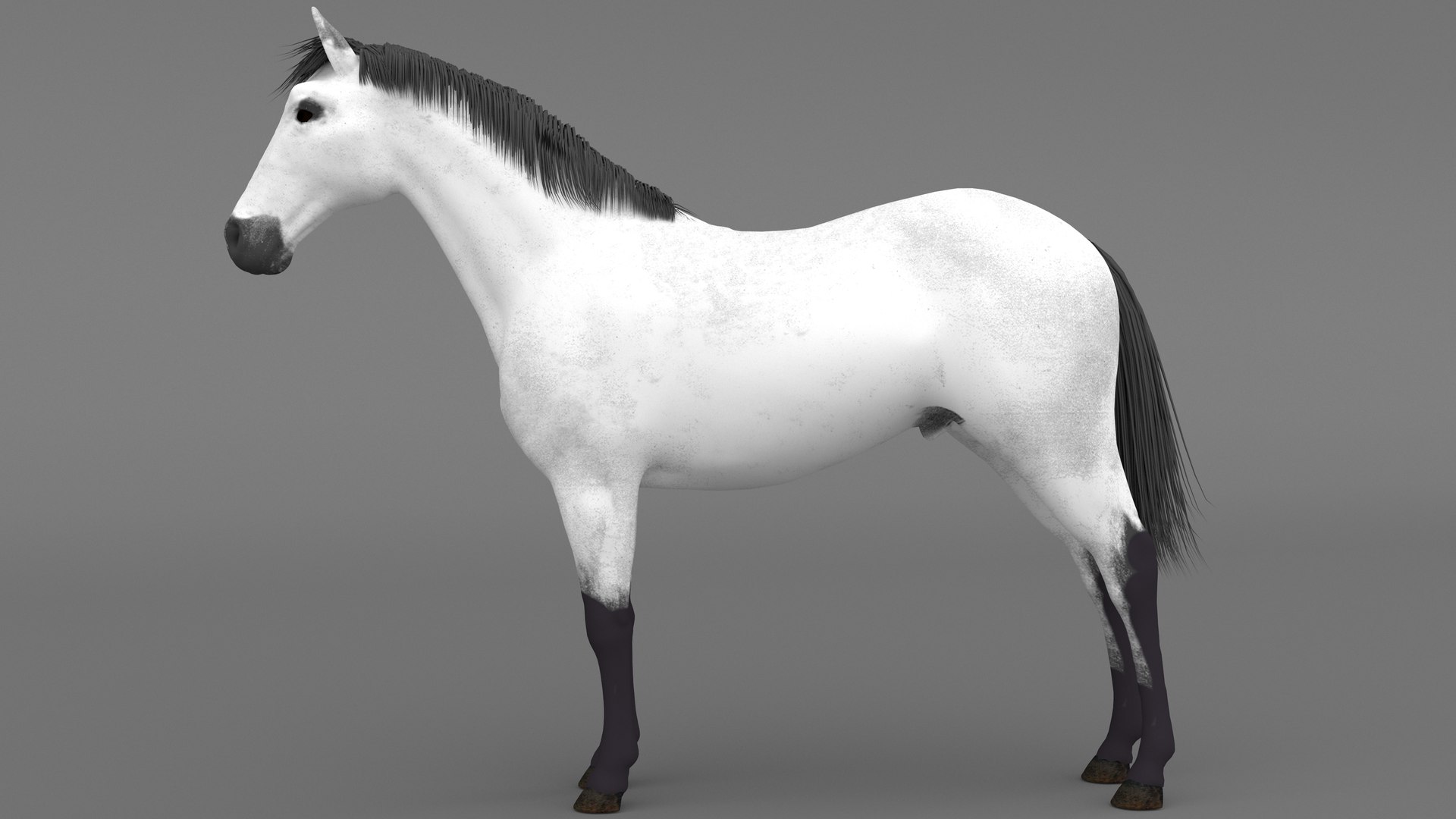 White Horse Model - TurboSquid 1790003