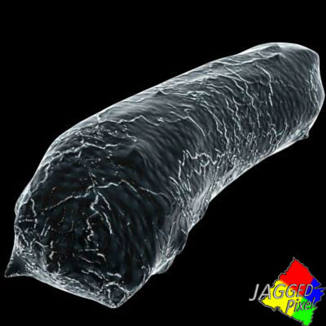 3d Model Bacillus Bacteria