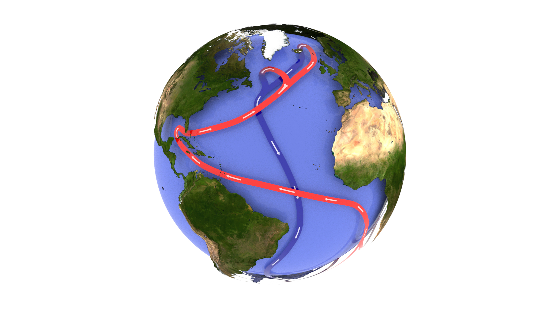 3D Thermohaline Circulation - Animated Arrows - TurboSquid 2268620