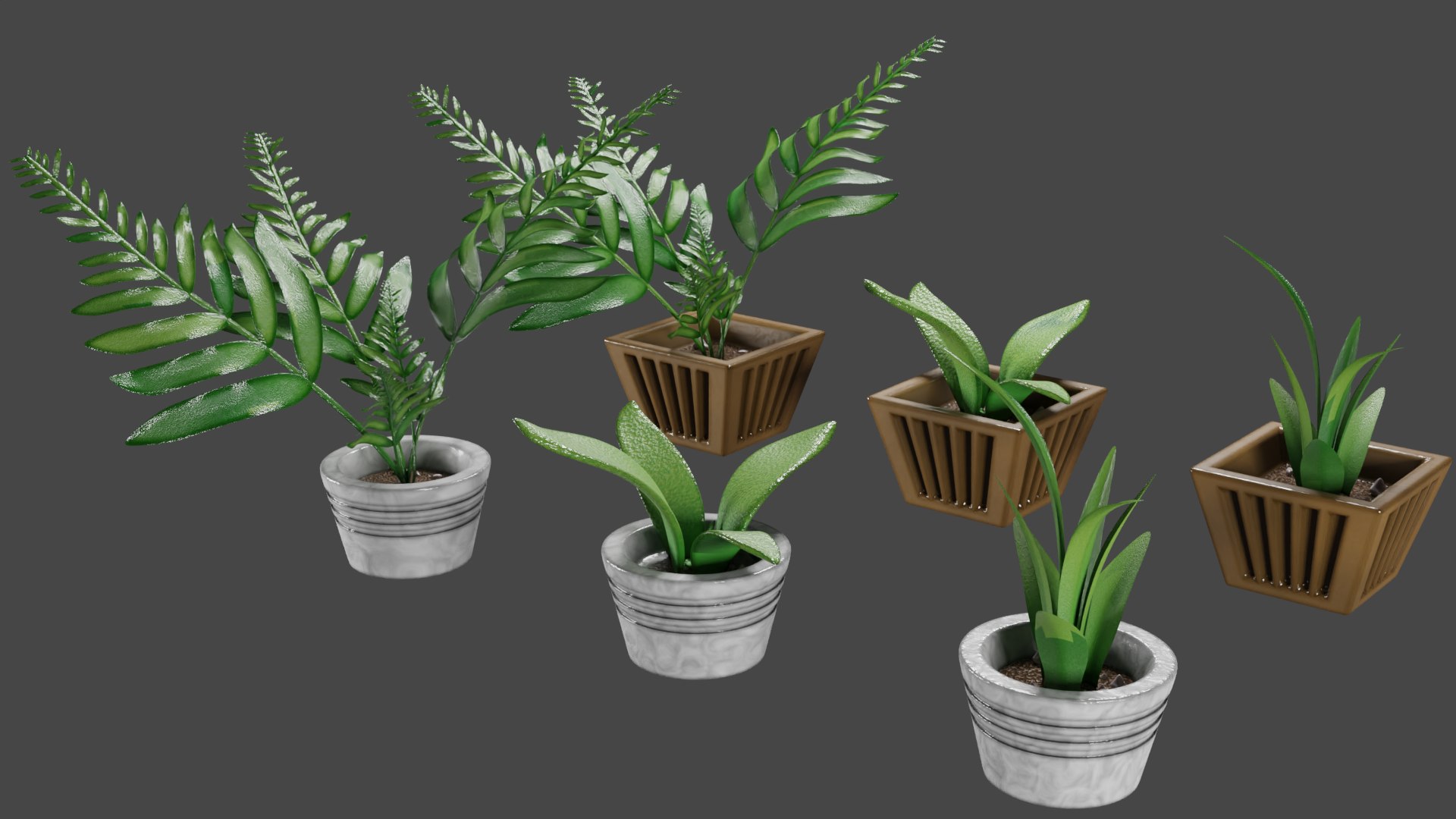 Indoor Plants 3D Model - TurboSquid 2009616
